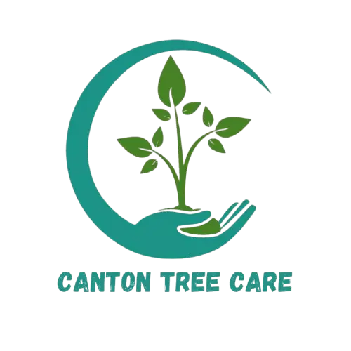 Tree Service in Canton & North Canton, Ohio
